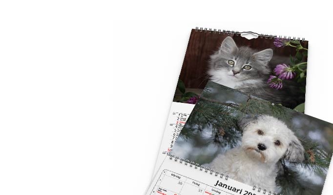 Kalendrar med djur | Stort utbud av djurkalendrar