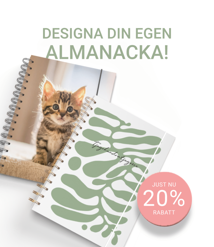 Veckokalendrar | Kalender med veckor
